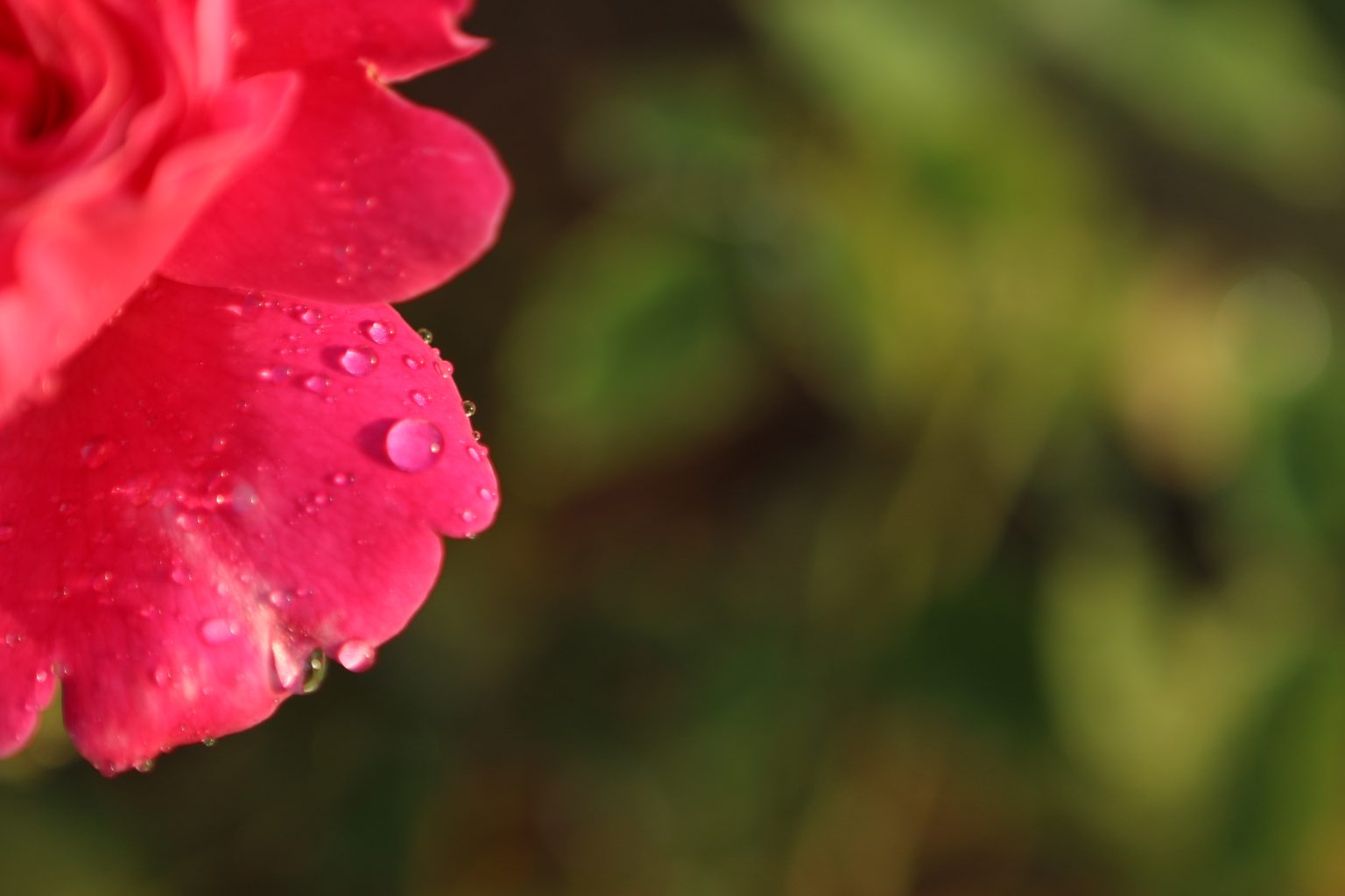 Home - Natural TOUCH Wellness Studio